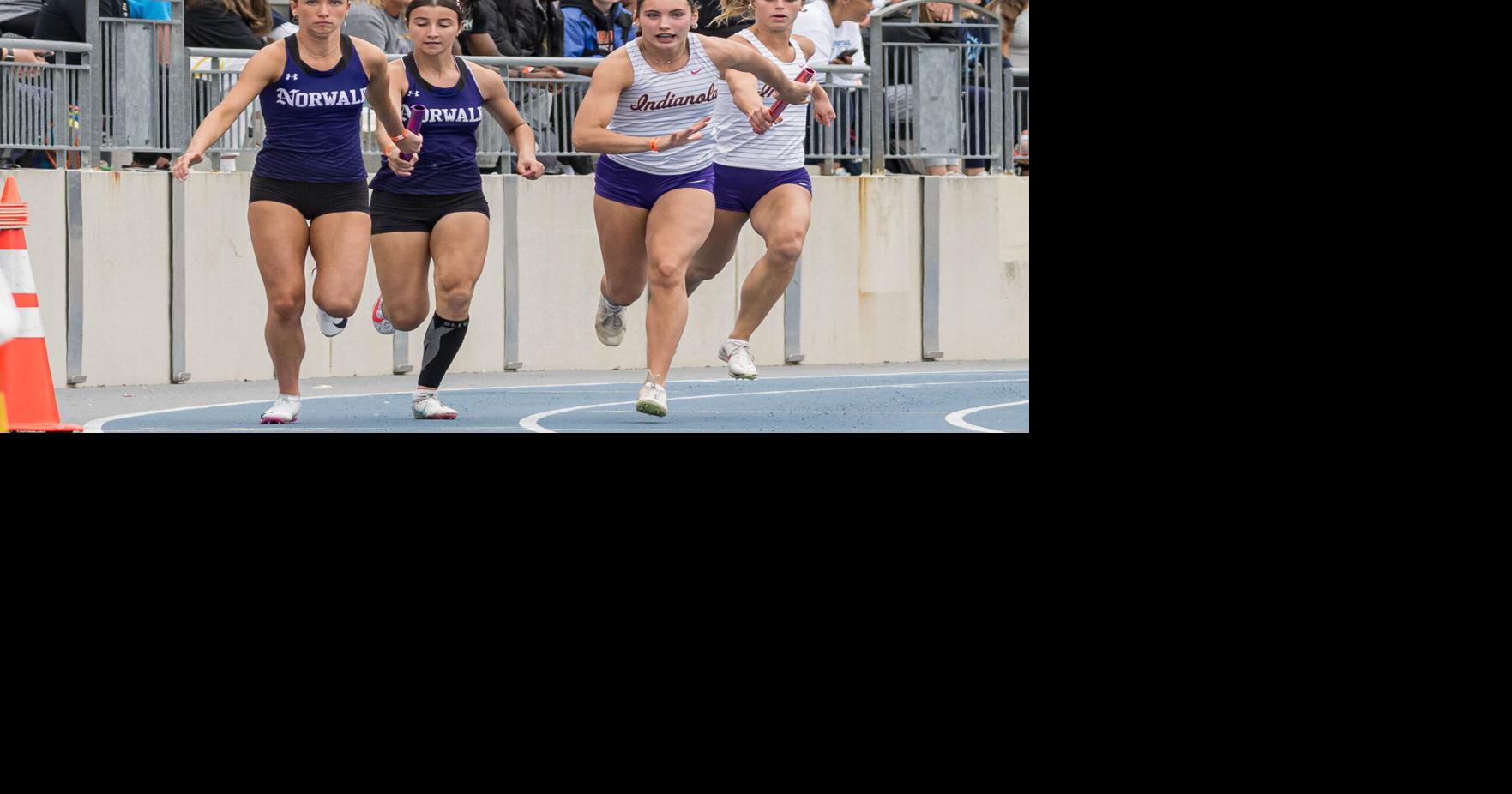 Warren County flexes muscles at state track meet | Sports | indianola ...