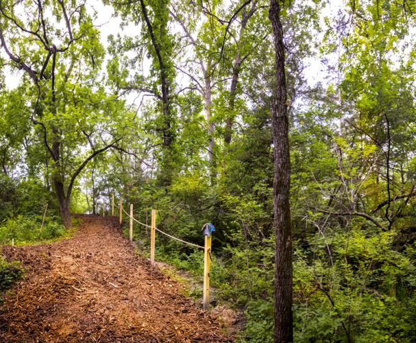 Disc golf courses improved | Multimedia | indianola-ia.com