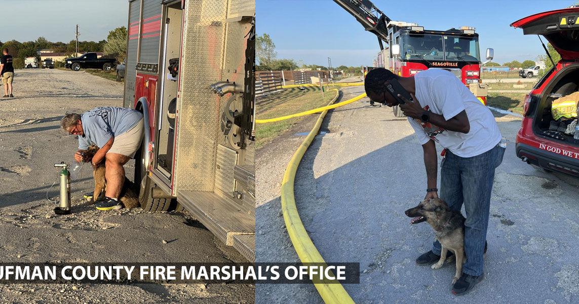 Crandall Fire Department recognized for rescuing working dog from house ...