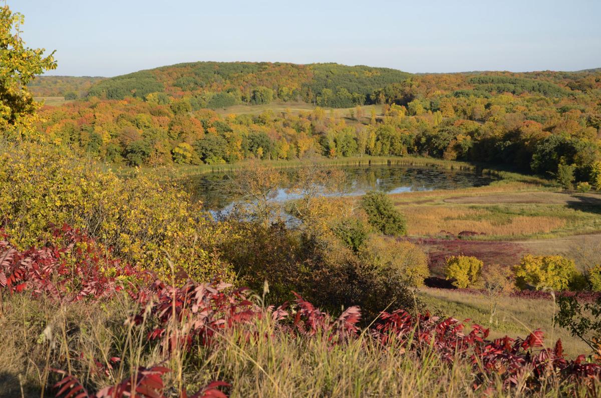 Fall fireworks, and what causes them | News | insightnews.com