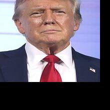 A cabinet of clowns: Trump’s circus returns to center stage ...