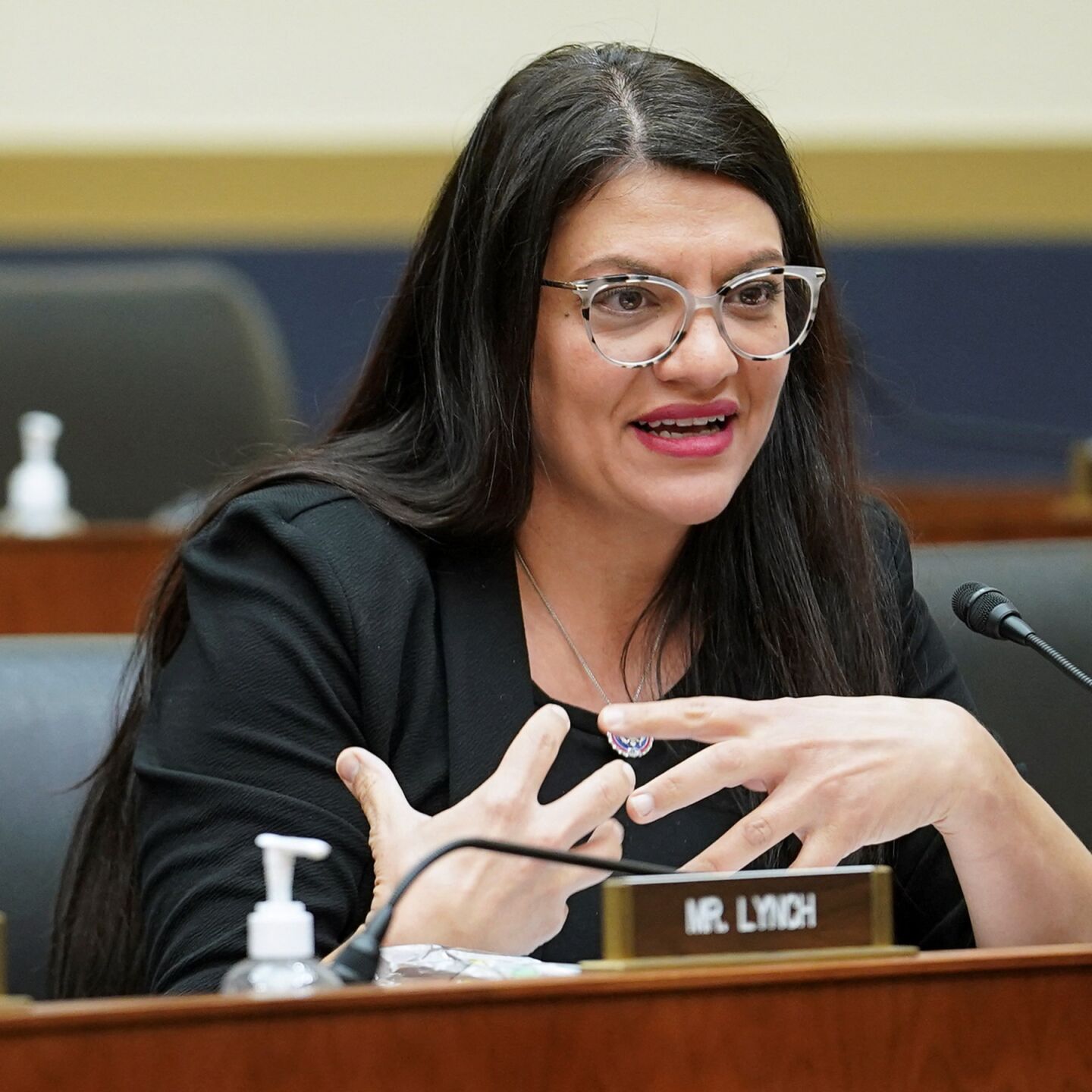 Rep. Rashida Tlaib warns DHS recruitment imagery echoes white ...