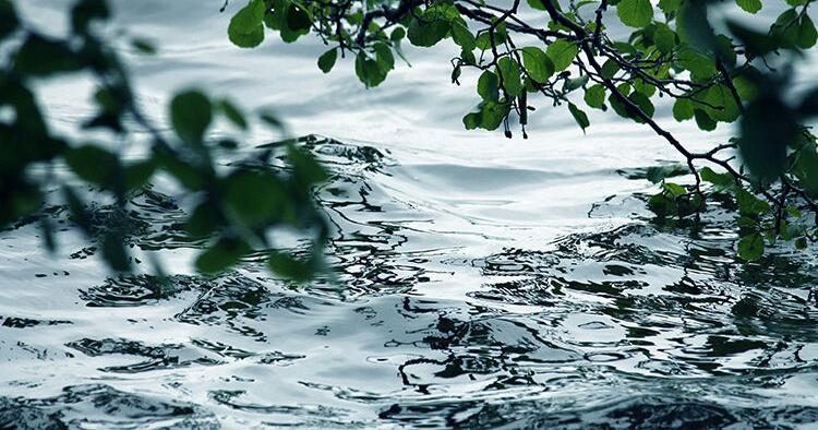 Green Bay NERR moves closer to completion | Commentary ...