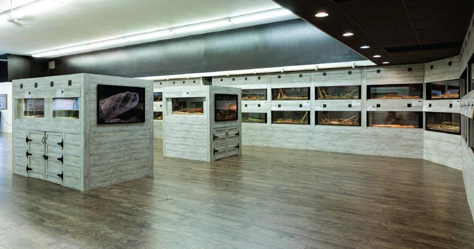 Serpentarium | Features | insightonbusiness.com