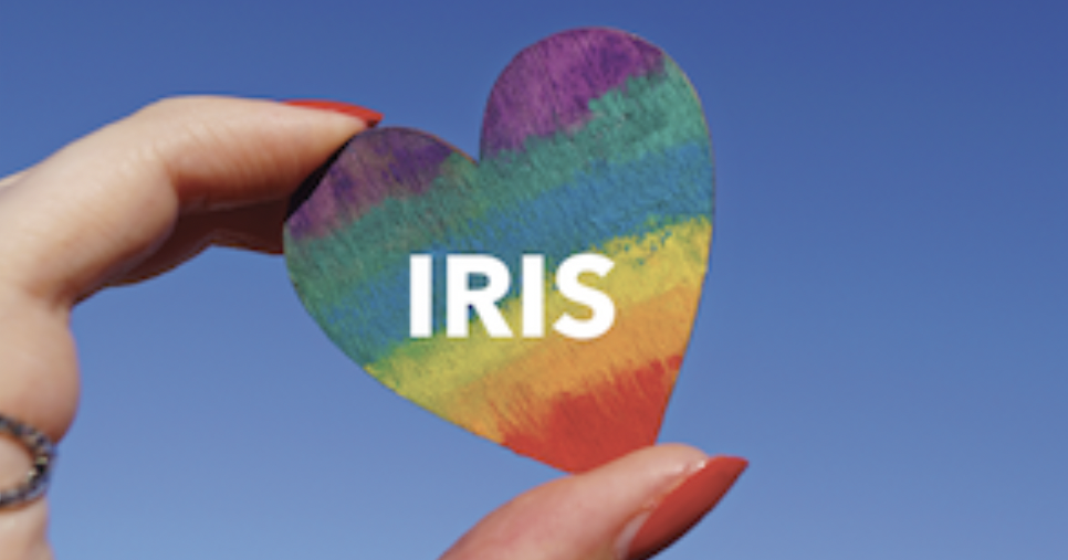 Wisconsin LGBT Chamber has new workforce development program for youth ...