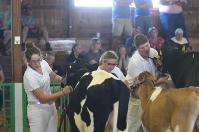 96th Annual Whitley County 4-H Fair planned for July 17-23 | COVID-19 ...