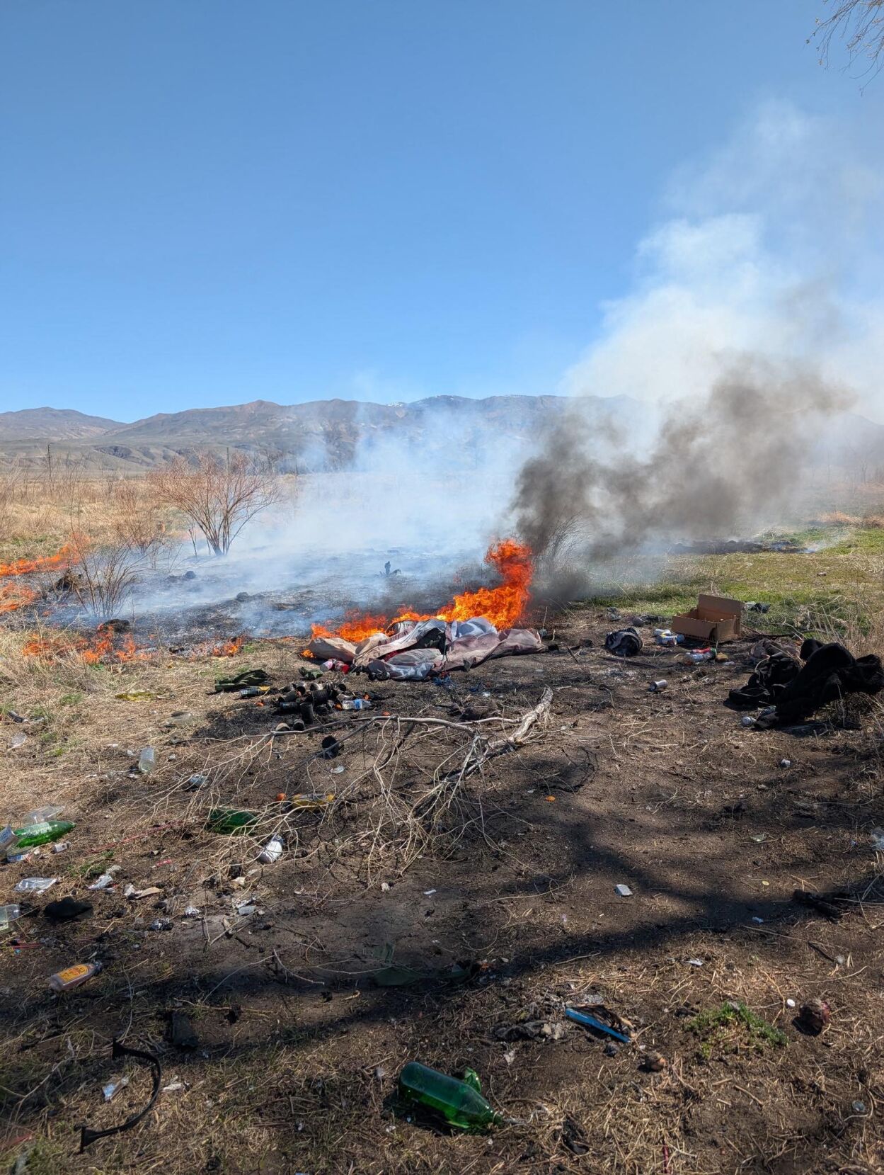 Big Pine man arrested for starting vegetation fire | News ...