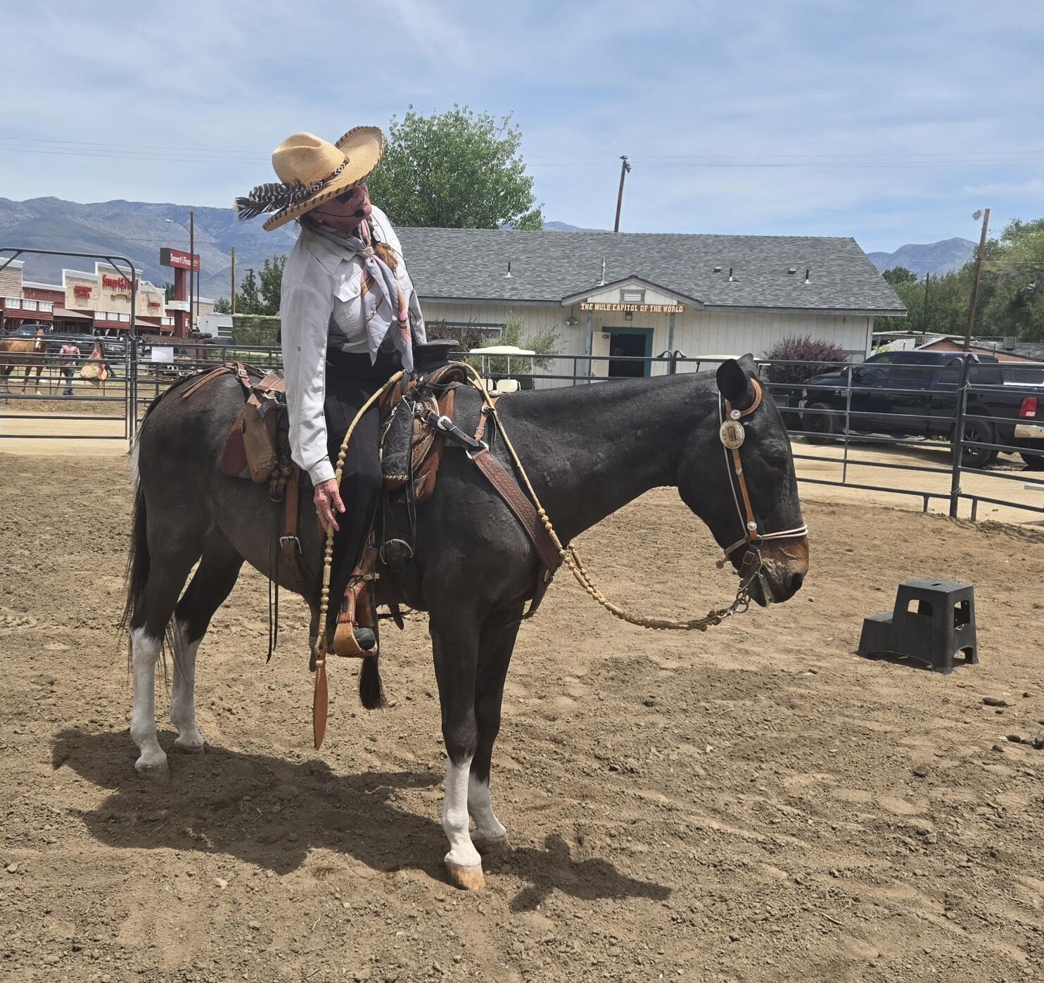 Hi-yo, silver-haired riders! Mule Days workshop teaches riding tips and ...