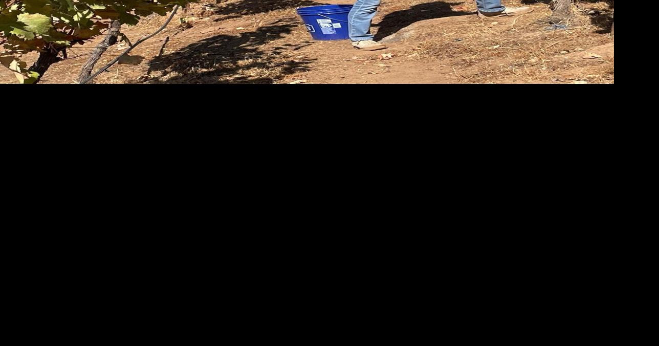 Crushing the competition: Grape-growing district that includes Inyo ...