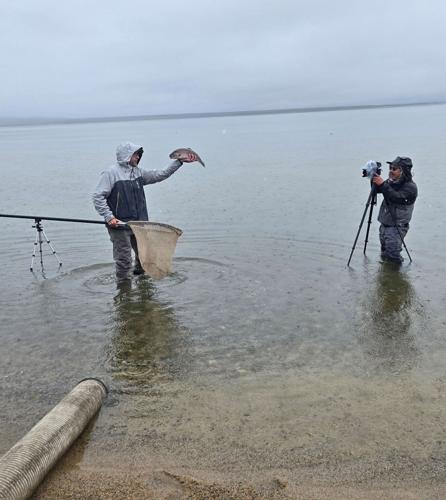 ‘Walking the talk’ of stocking the lake | Sports | inyoregister.com
