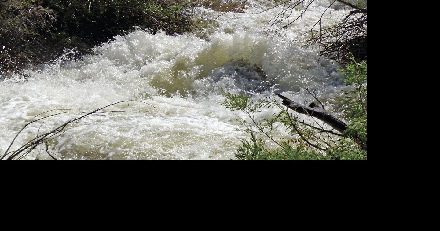 Spring area runoff picks up pace, streams and creeks are surging | News ...