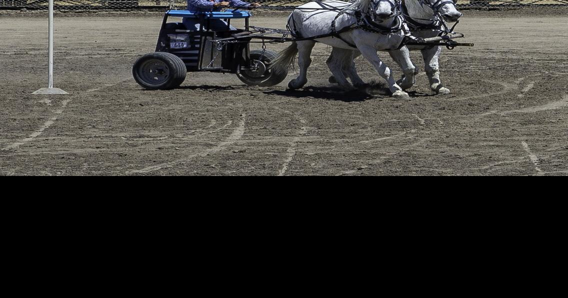 Mule Days packs in rodeo fun for the children | News | inyoregister.com