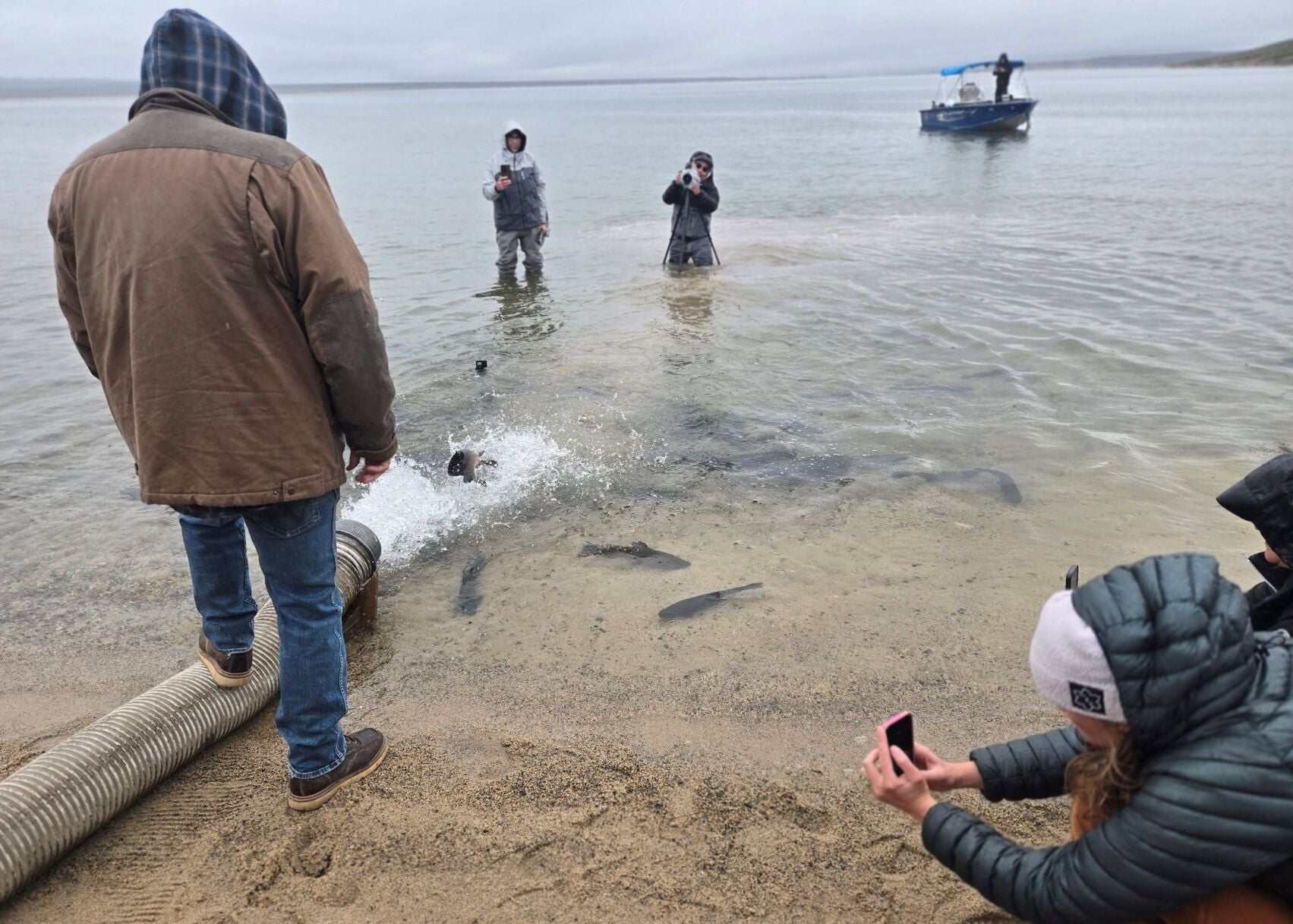 ‘Walking the talk’ of stocking the lake | | inyoregister.com