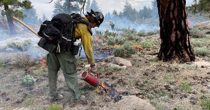 Inyo National Forest to feel the burn | News | inyoregister.com