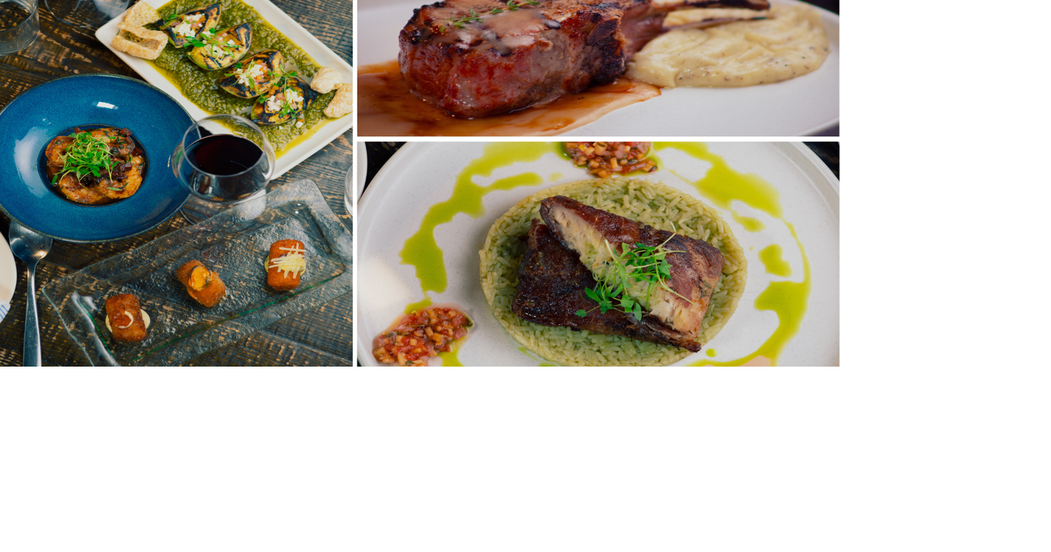 Vinya Wine Market brings a Mediterranean-international menu to Miami ...