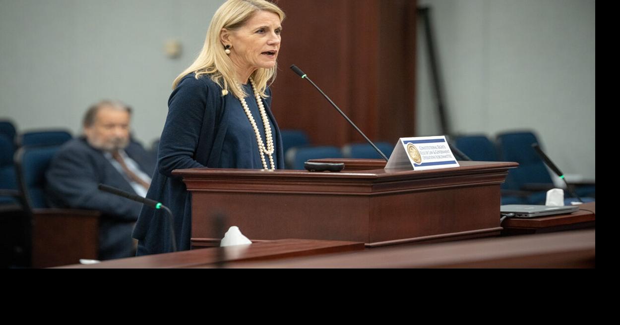 State Rep. Vicki Lopez updates Village Council on Tallahassee funding ...