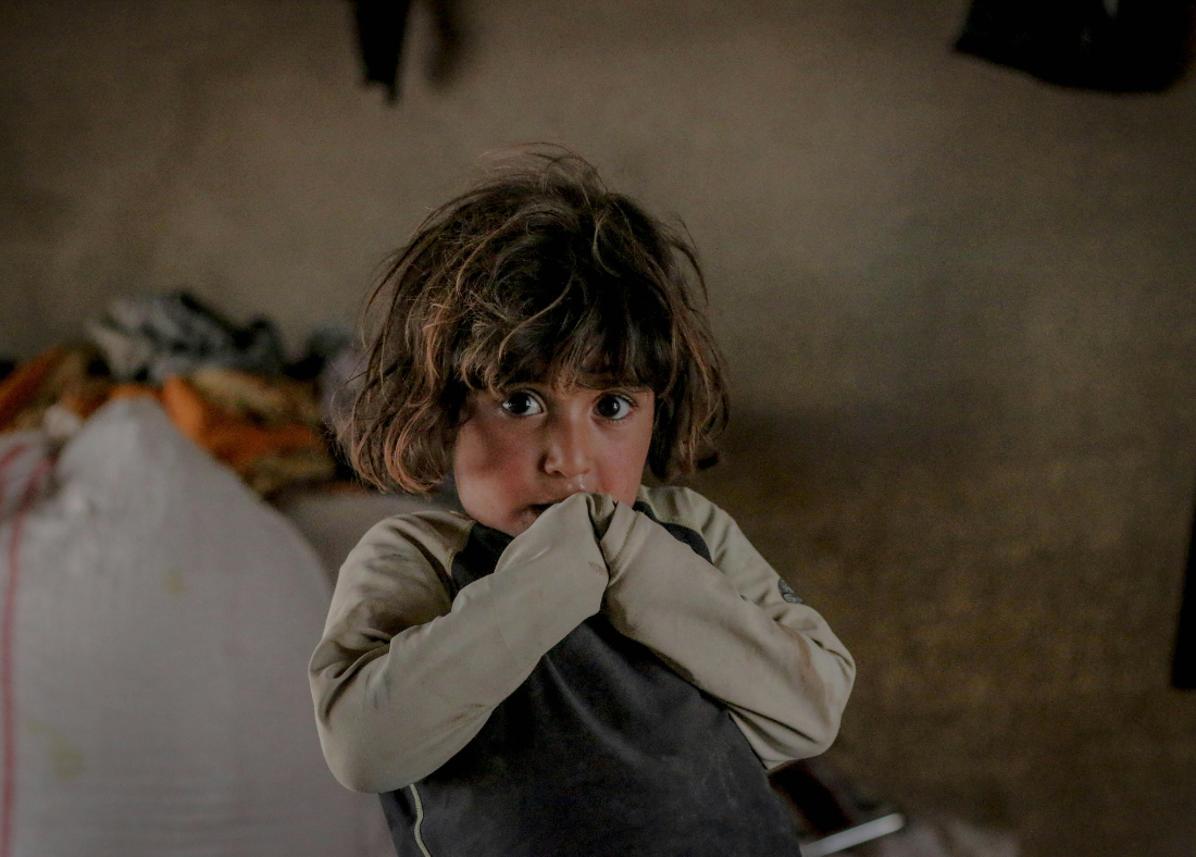 e-Edition | islandernews.com