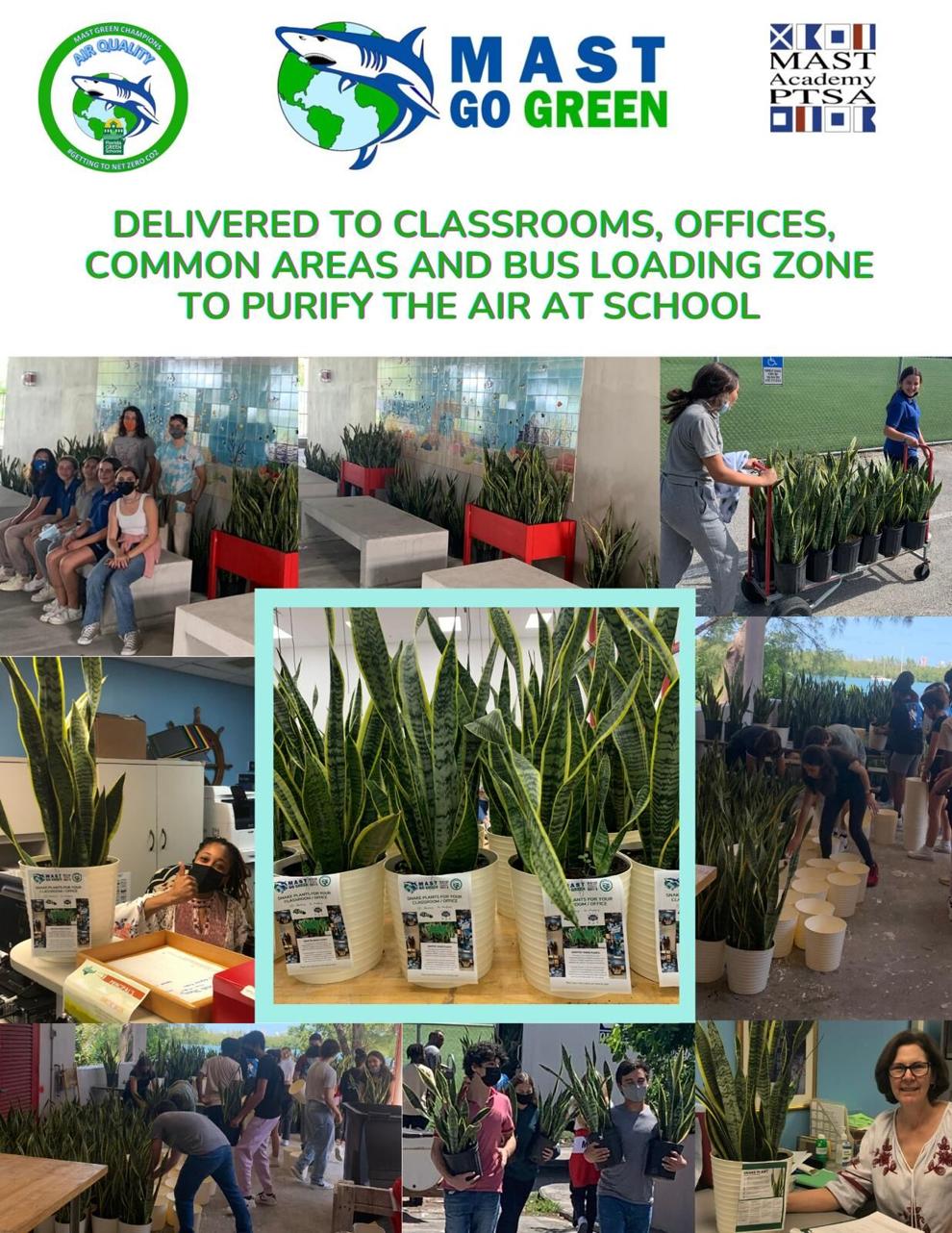 MAST Academy first in Florida to win ‘Golden Apple’ environment award ...