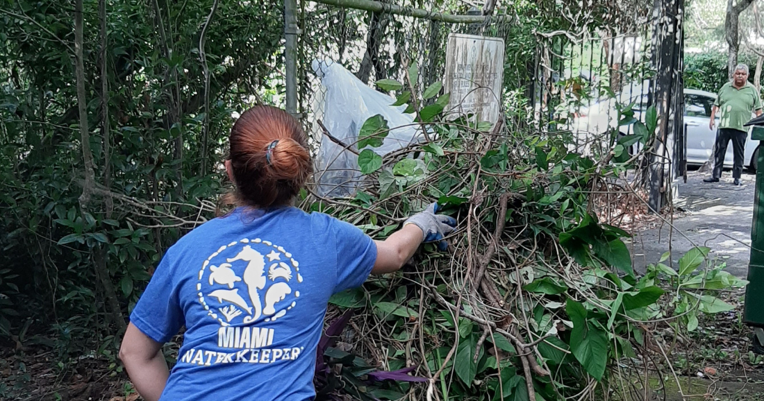 Miami Waterkeeper plans dual cleanups at Virginia Key and Crandon | Key ...