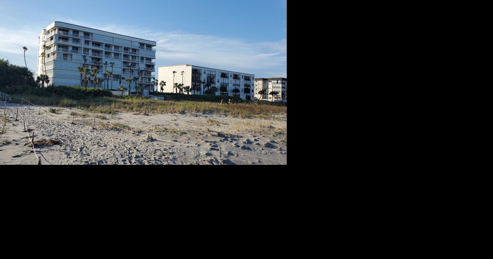 Sea oats are proving to be rigorous defenders of coastal sand dunes ...