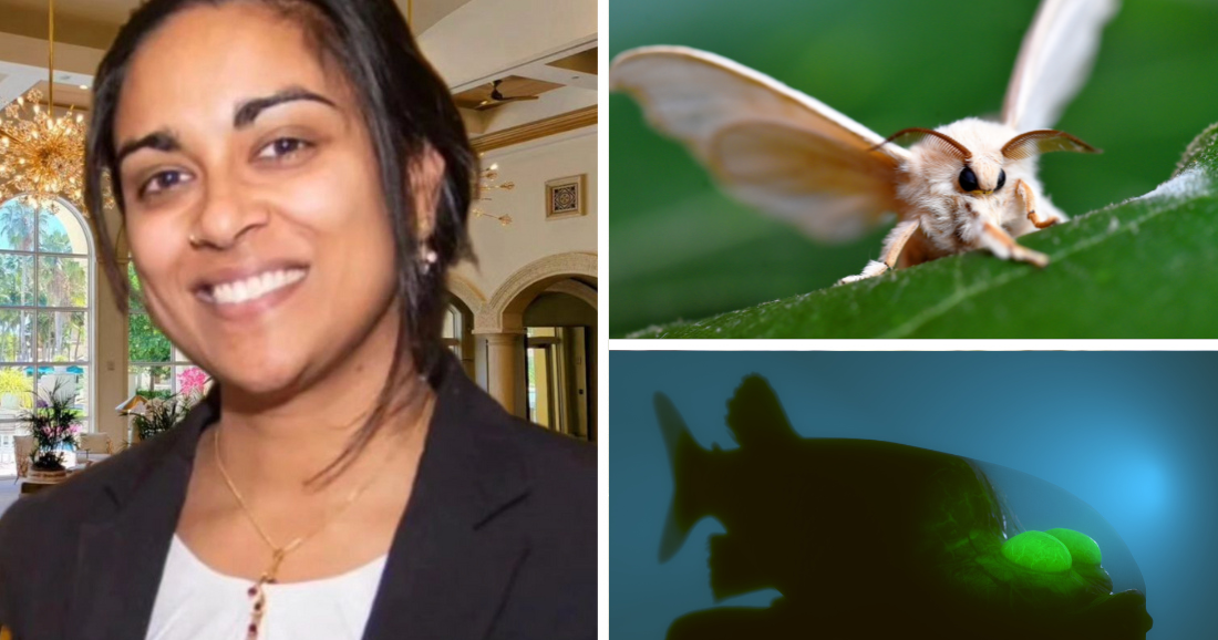 Lunch & Learn returns with “20 animals you didn’t know existed” | Key ...