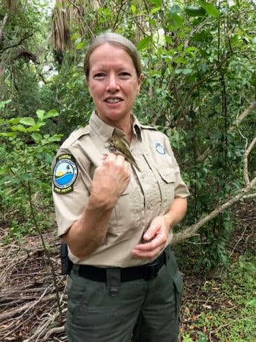 Expert hunters putting the squeeze on burgeoning Florida python ...