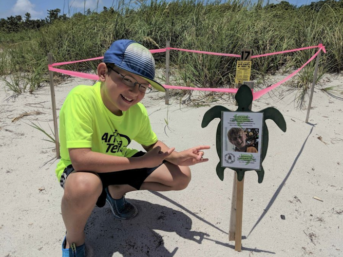 Sea turtles on Key Biscayne: Time to protect our endangered visitors ...