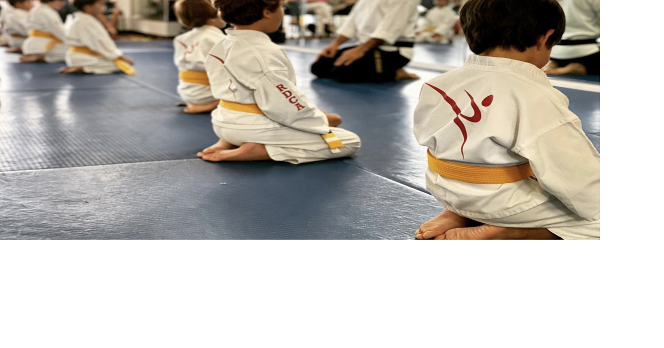 Students reflect on how their experience at local dojo have helped them ...