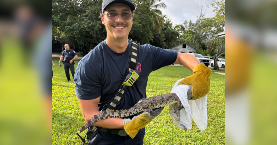 A different kind of rescue for KBFD | Key Biscayne | islandernews.com