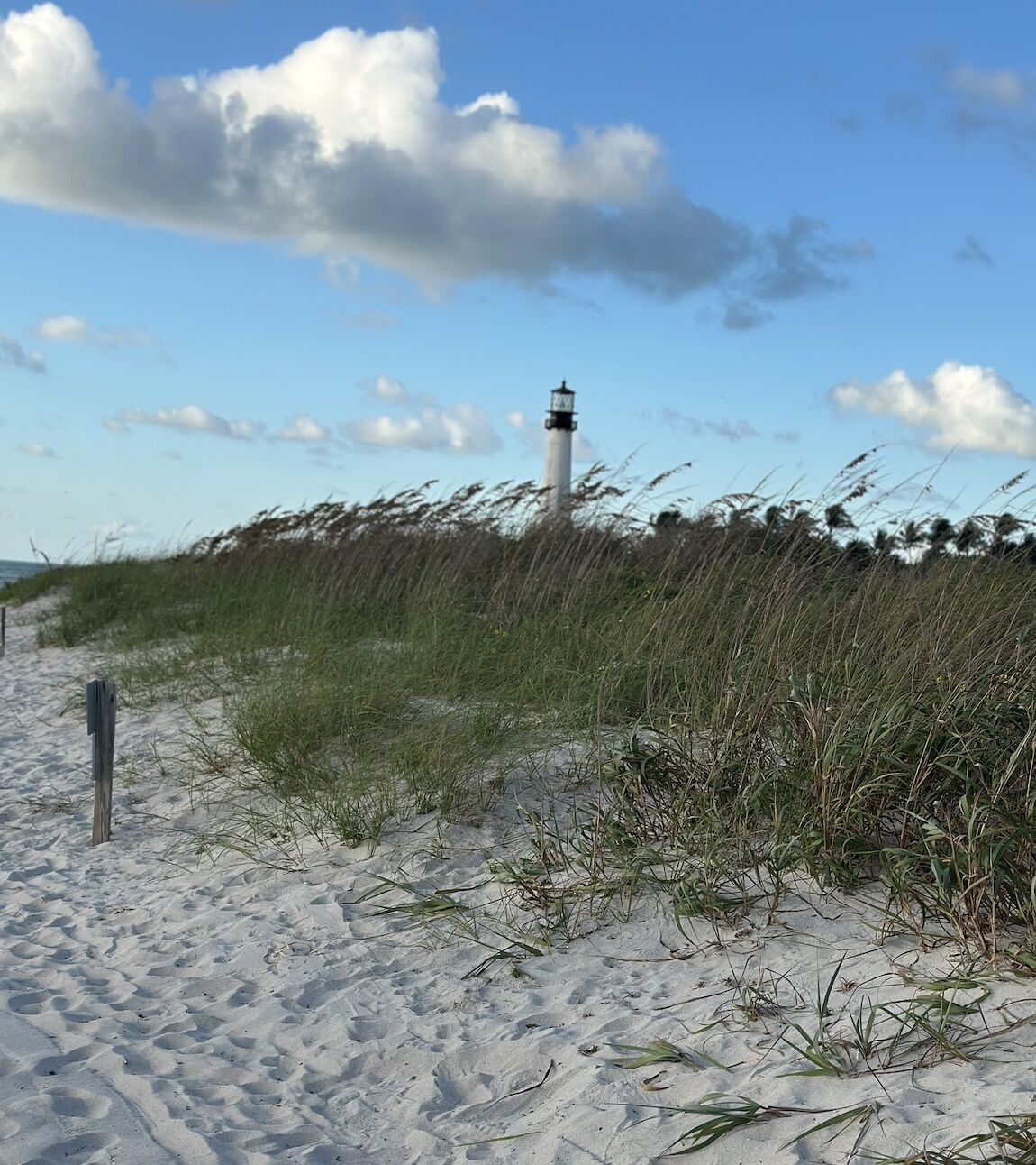 Sunny and warmer Saturday on Key Biscayne | Key Biscayne | islandernews.com