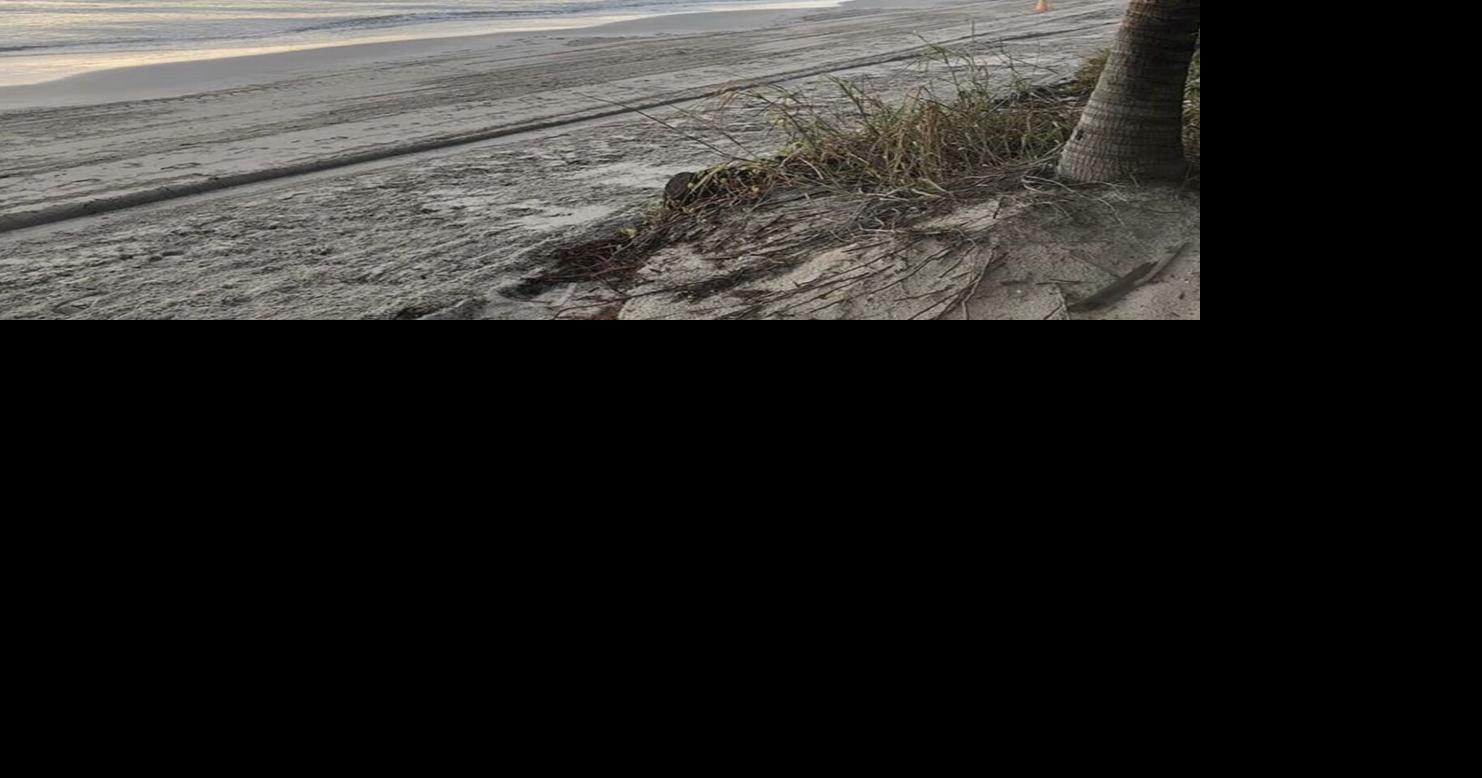 Windy start to Key Biscayne’s week | Key Biscayne | islandernews.com