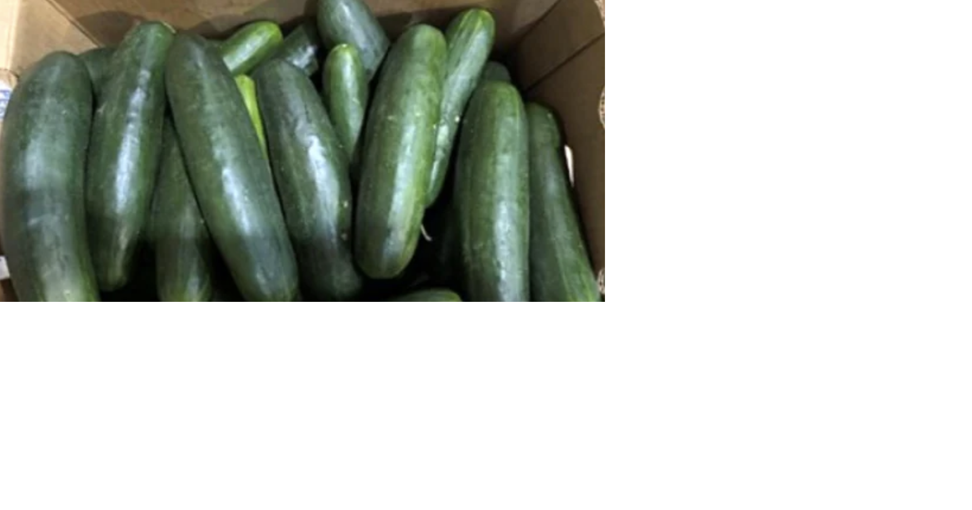 Florida-grown cucumbers tied to salmonella outbreak causing recall ...