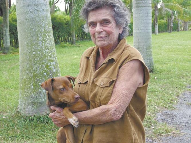 Spirit of KB dog sanctuary lives on at Redland with donors help | Key ...