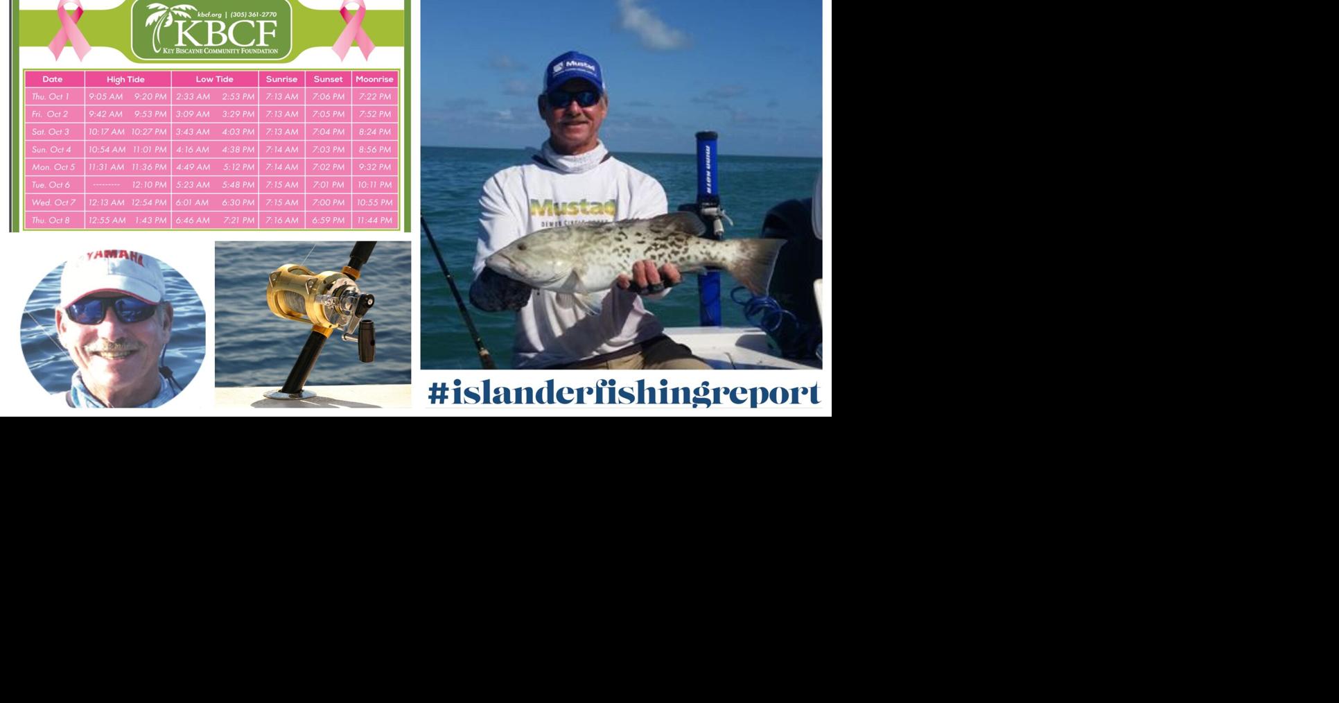 Find the mullet schools and catch a bounty & Tide times | News ...