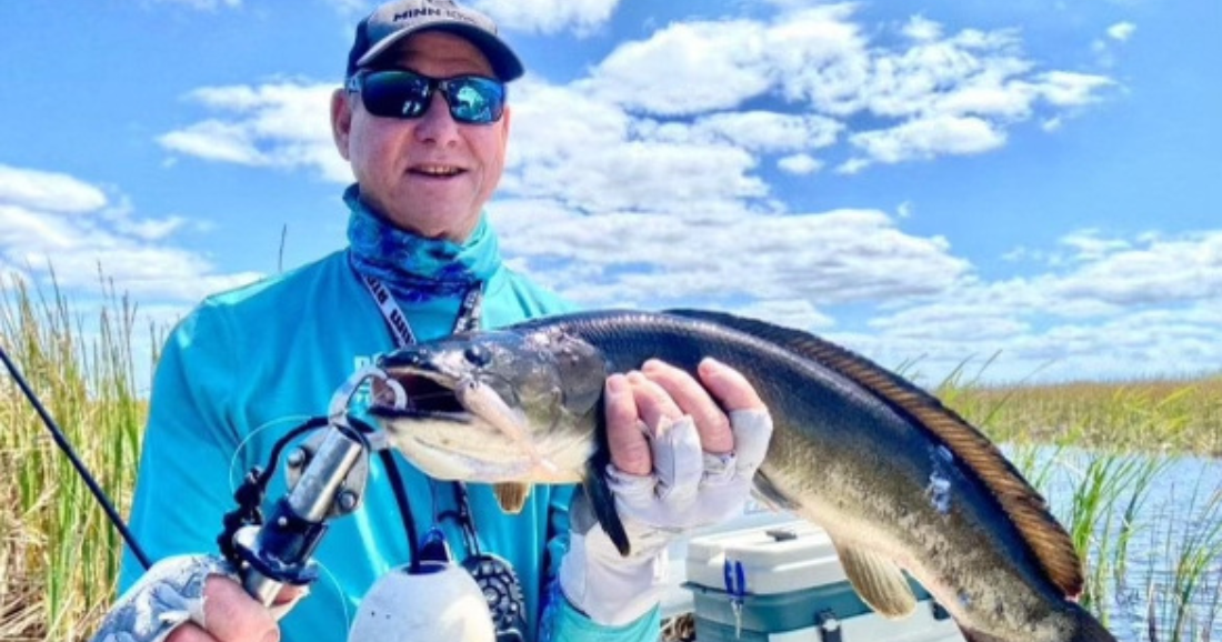 When hurricanes start moving through the region, the waters cool and ...