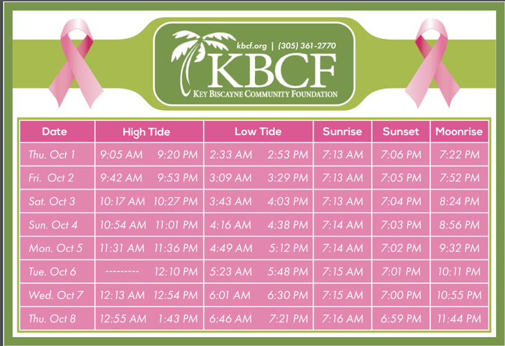 Find the mullet schools and catch a bounty & Tide times | News ...