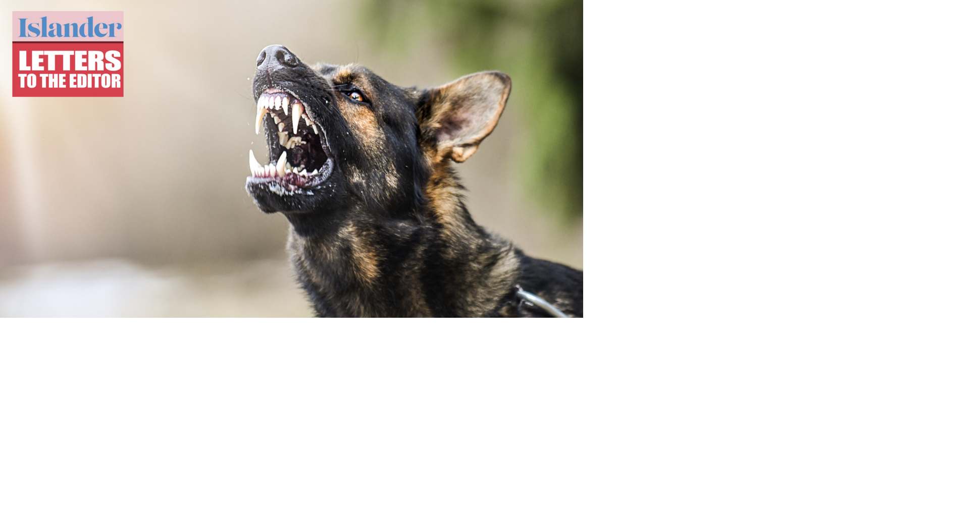 Reader appreciative of good samaritans after dog attack | Letters to ...