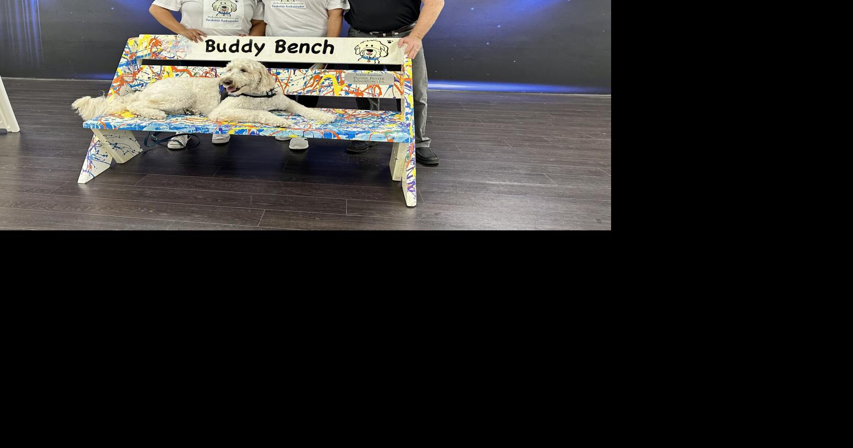 My Buddy Bench Project, an anti-bullying prevention organization ...