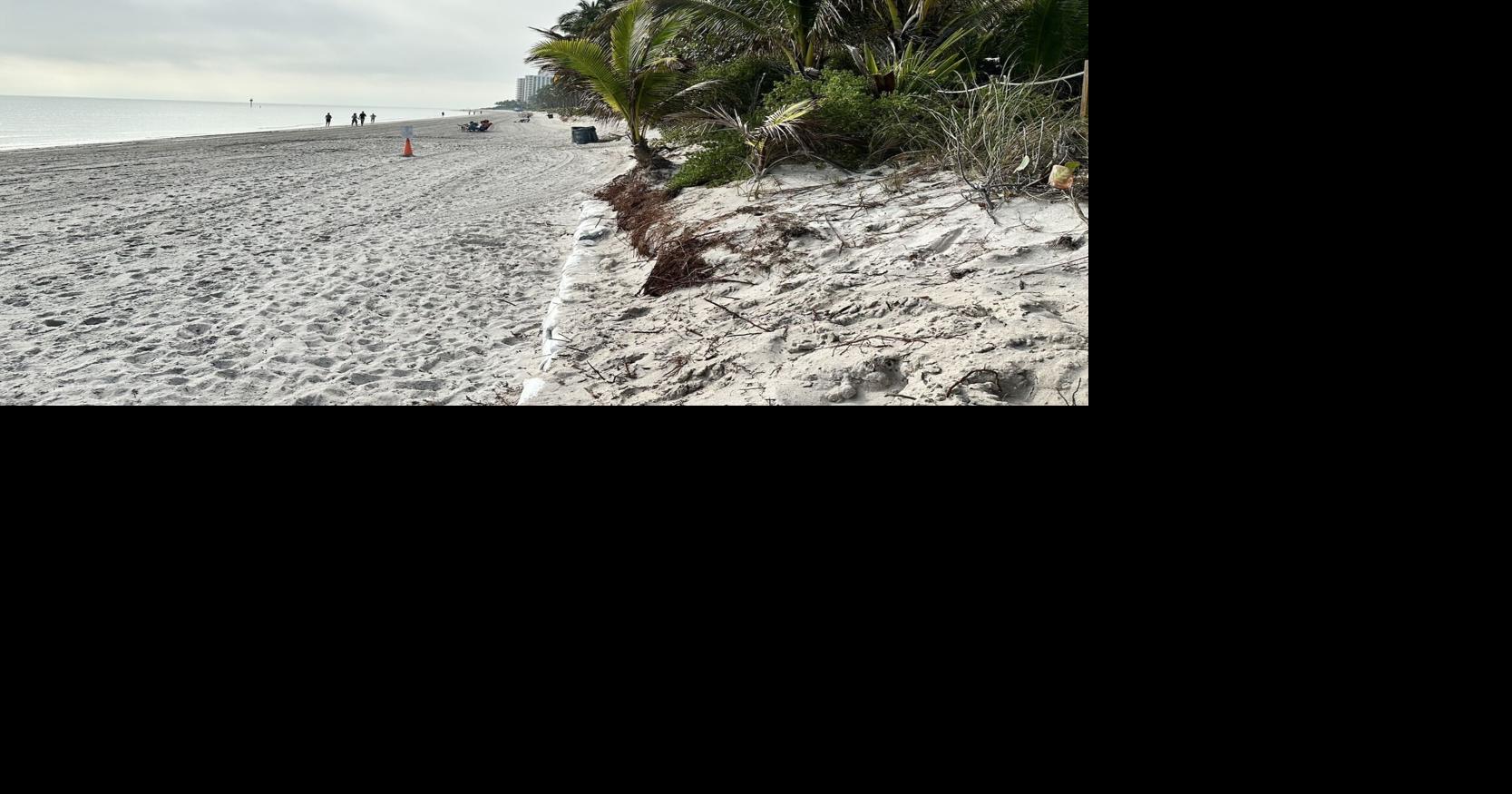 Key Biscayne Weather: morning showers ahead of weekend cold front | Key ...