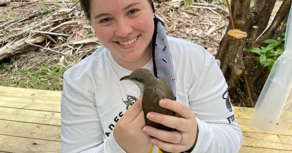 Cape Florida Banding Station offers residents rare look at migrating ...
