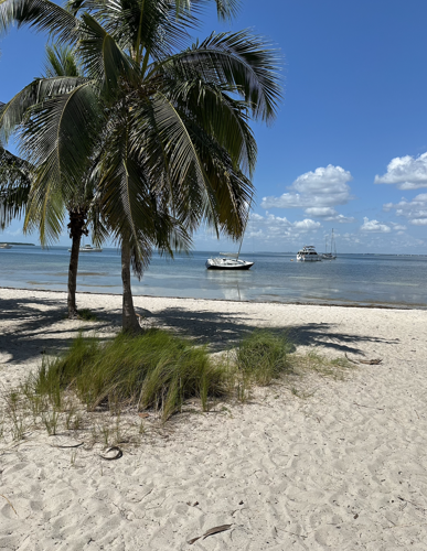 Sunny start to the week on Key Biscayne | Key Biscayne | islandernews.com
