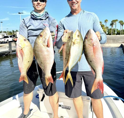 Baitfish migration is triggering snook action in the inlets, a sure ...