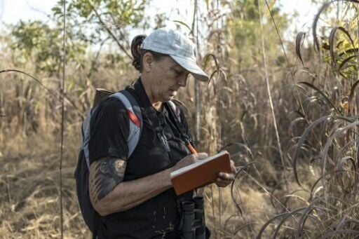 Pruetz, who has three Fongoli chimps tattooed on her arm, meticulously ...