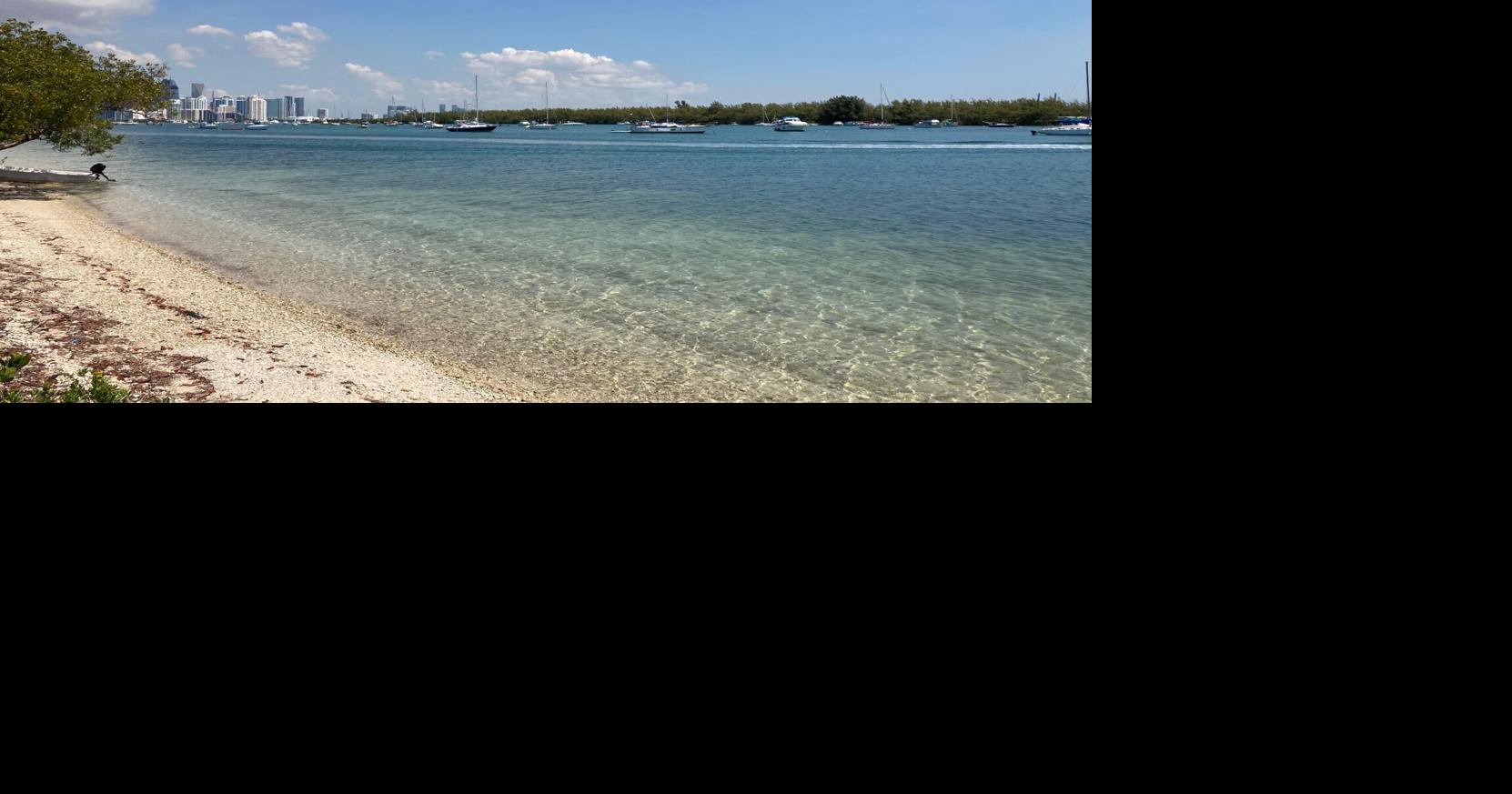 Windy and increased chance of rain in Key Biscayne’s weather forecast ...