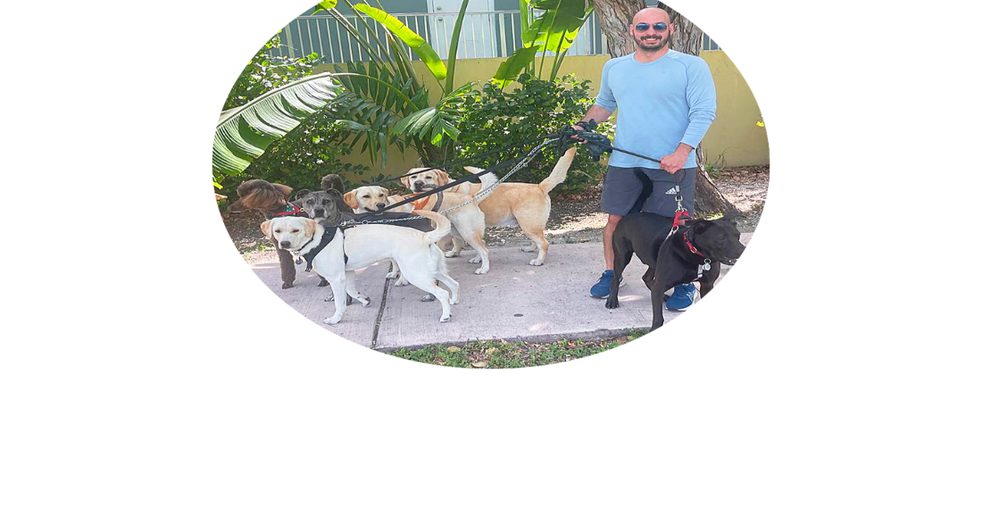 Life lessons while walking dogs on the Key with Michael Mauri ...