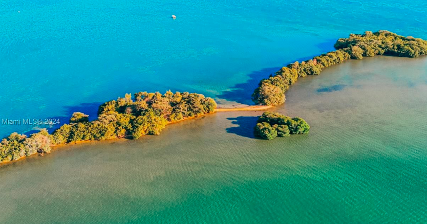 Una isla de Miami a la venta por 31 millones genera amplia controversia ...