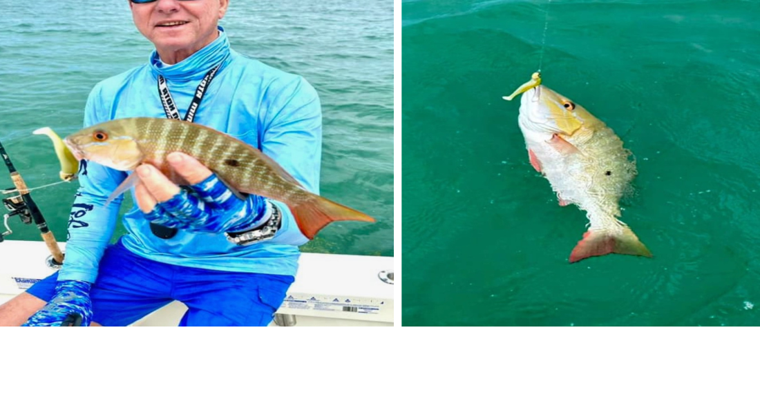 With diminishing wind will come an improved chance at kingfish, Spanish ...