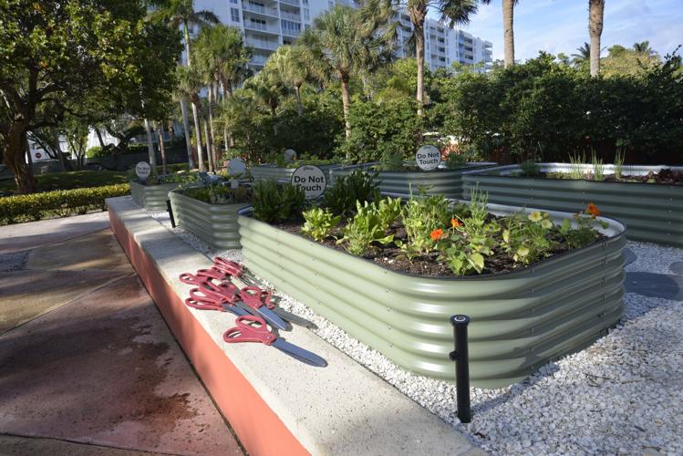 Weekend local calendar of events and activities packed with fun options ...