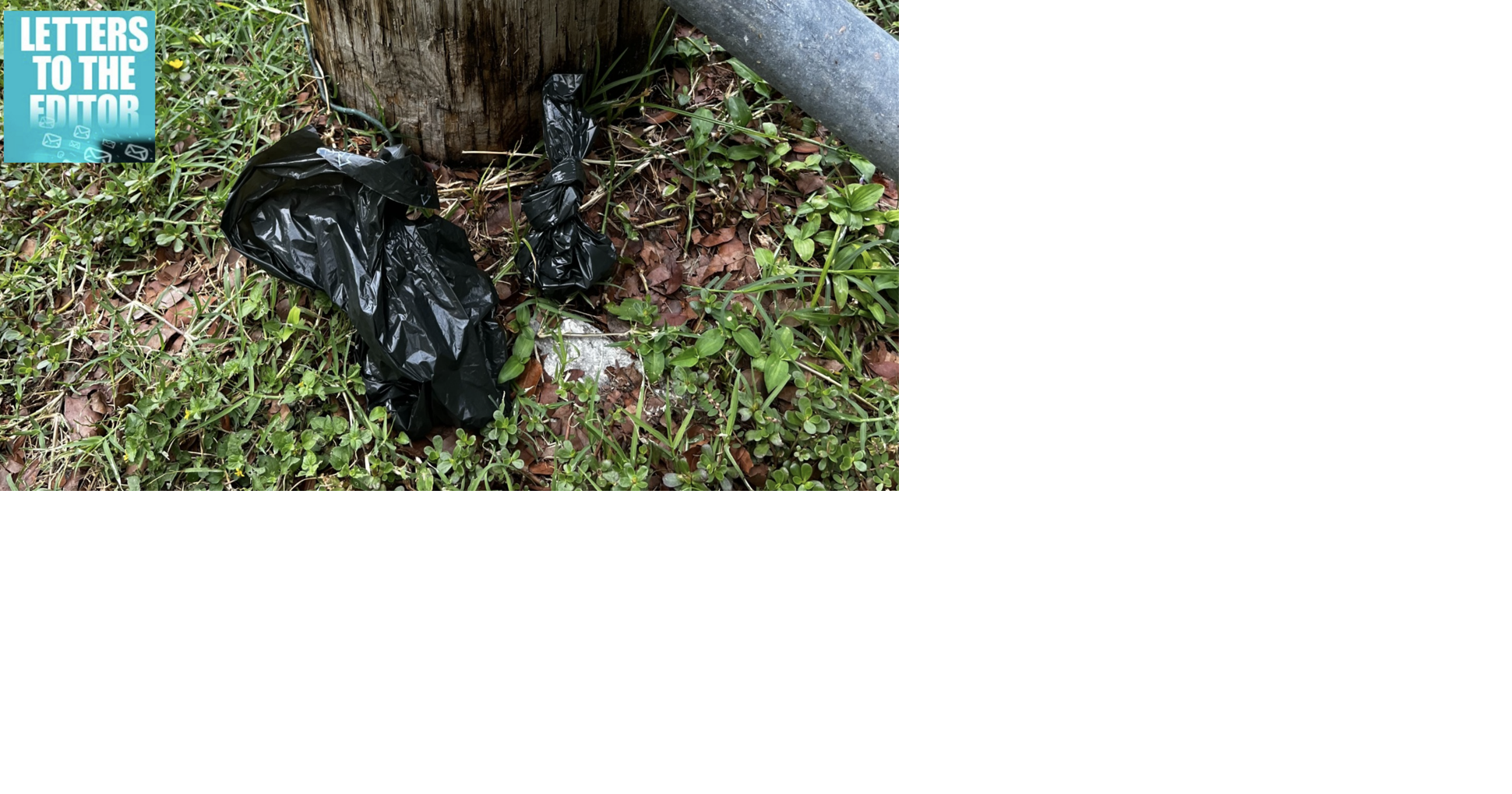 Public poop prompts query | Letters to the Editor | islandernews.com