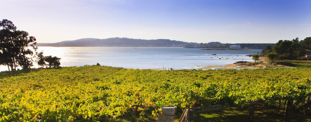 Spanish wine region of Rías Baixas to be featured in special roadshow ...